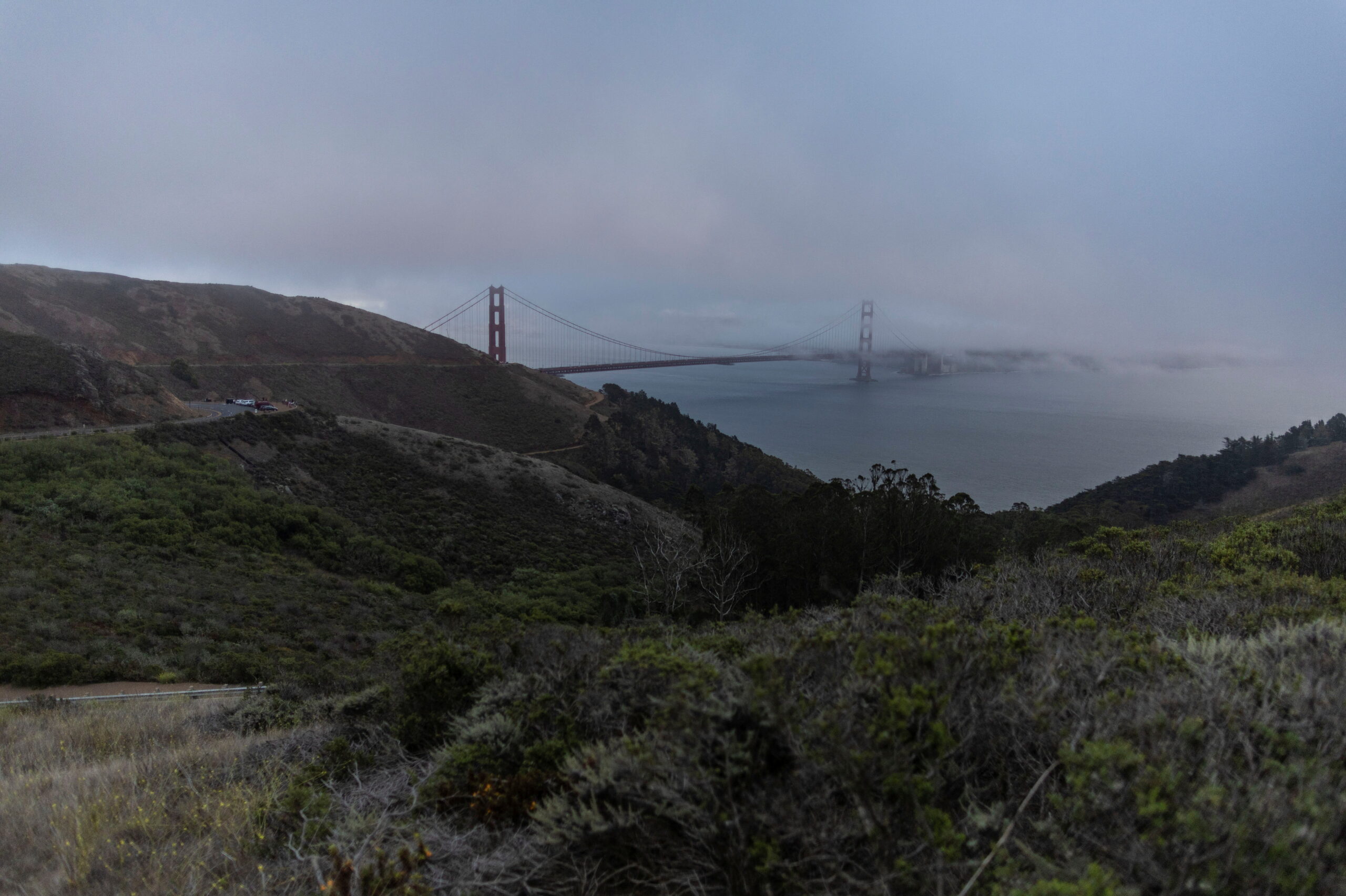 Pro Bono & Virtual Models in the US - Thomson Reuters Foundation