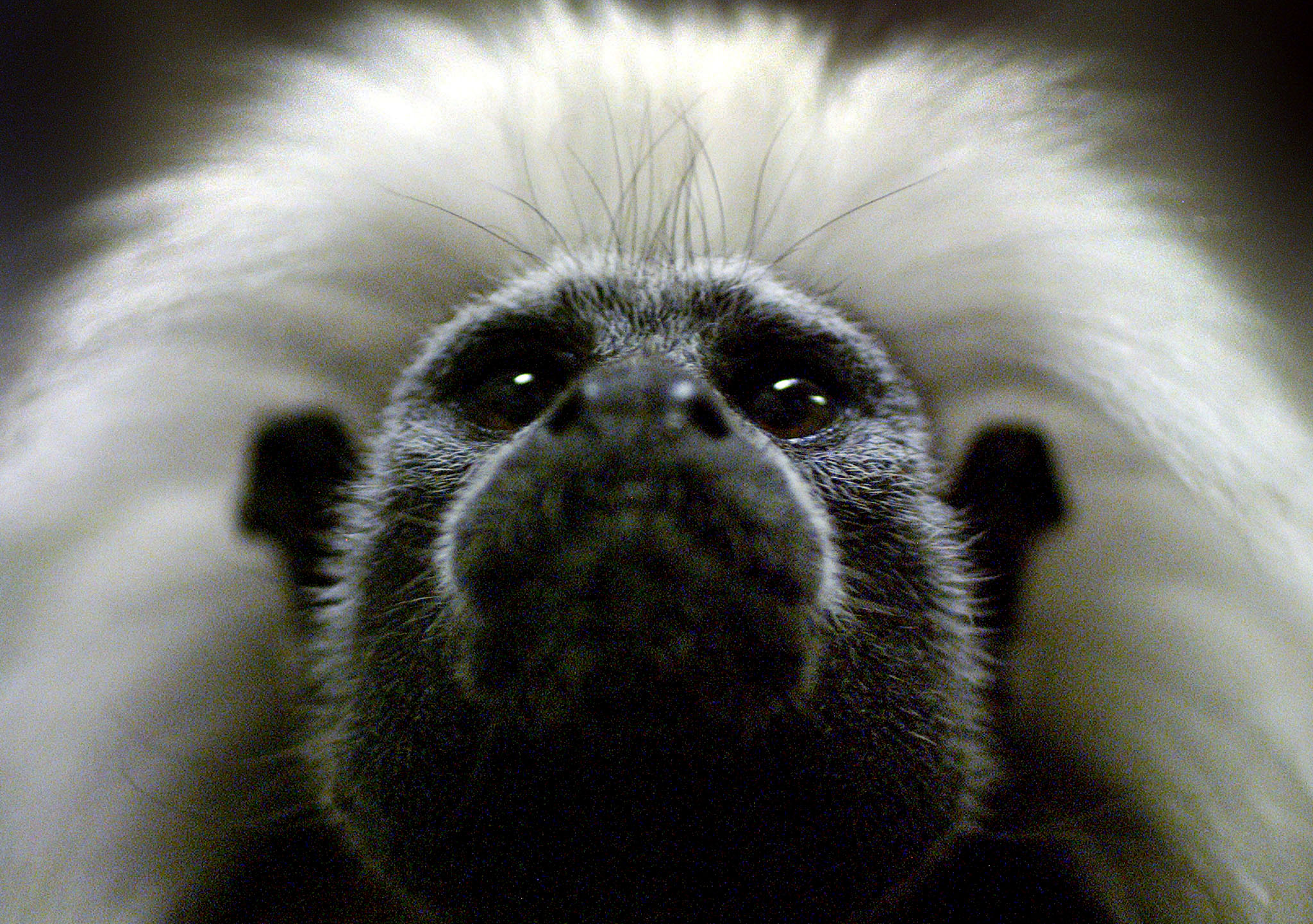 Conservation in Colombia - Thomson Reuters Foundation