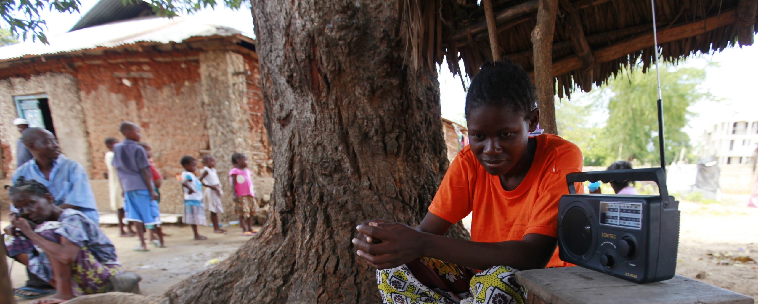 Shielding community journalism: How pro bono legal expertise broke the ...